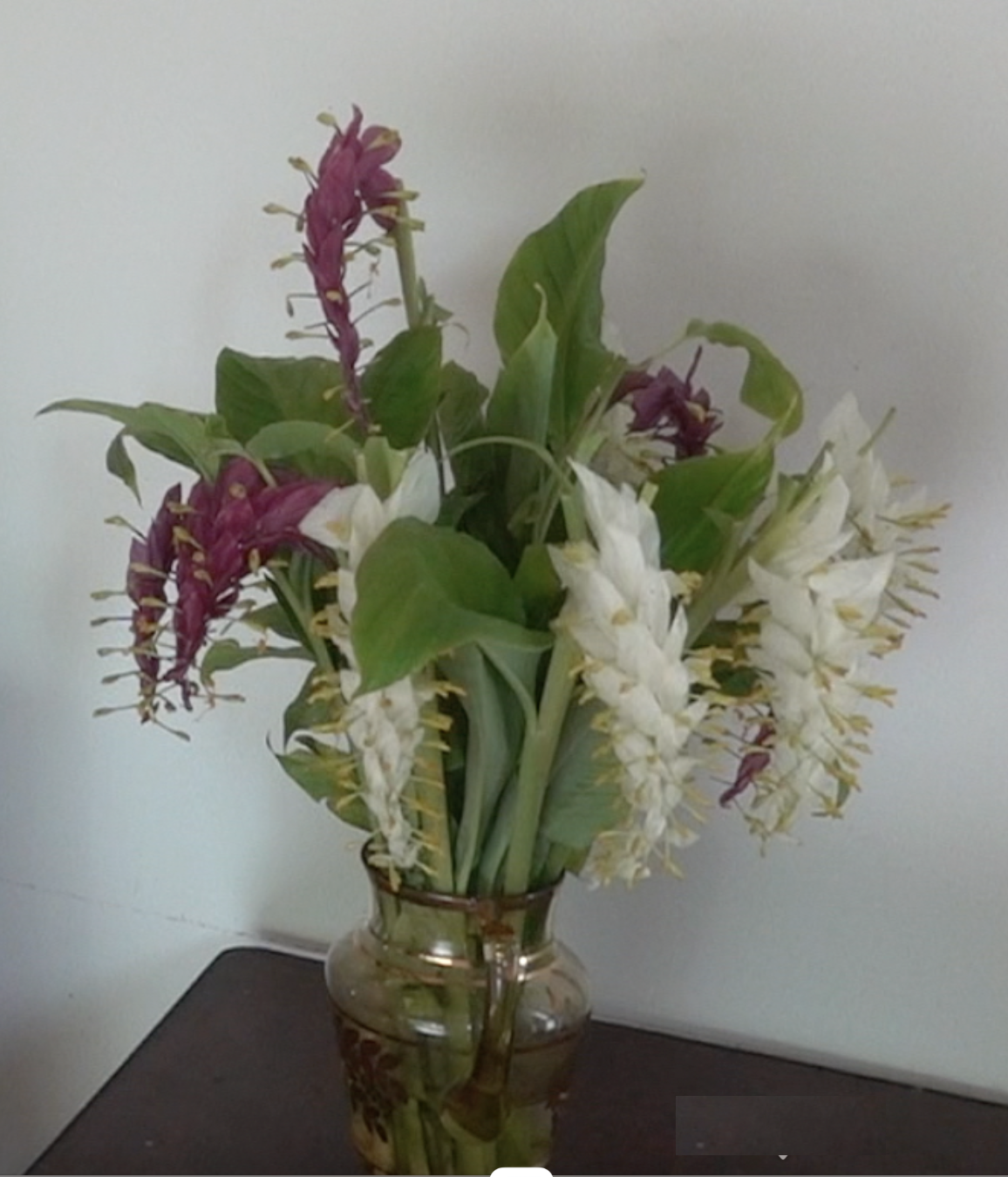 Wahso Month (July) by Junior Win